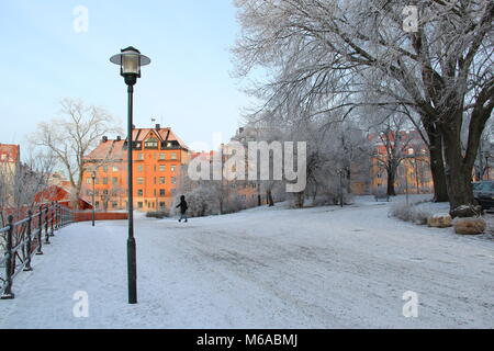 Vitabergsparken on Södermalm in Stockholm a frosty sunny cold winter ...