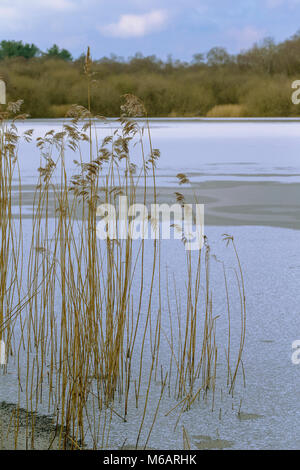 Hatchmere Lake, Cheshire, England Stock Photo - Alamy