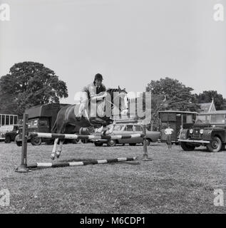 Show jumping training - female rider on a white horse jumping through a ...