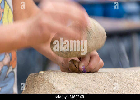 GATE (Gifted and Talented Education) students grind acorns Stock Photo ...