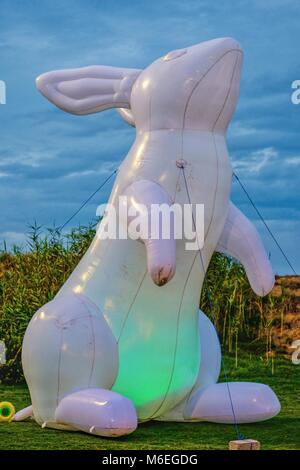 Giant Inflated White rabbit tied with ropes Stock Photo - Alamy