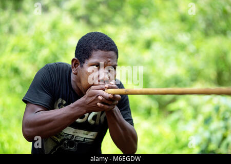 native man of Batek Tribe shooting a blowgun, Malaysia aboriginal ...
