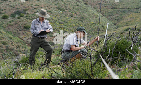 Native Plant Community Monitoring Stock Photo - Alamy