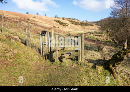 Dog gate and stile, UK Stock Photo - Alamy