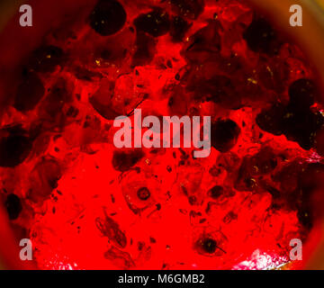 Bright translucent red currant jam in a glass jar, close-up, macro ...