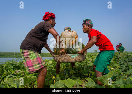 The Arial Beel (water body) of Munshiganj is famous for producing ...
