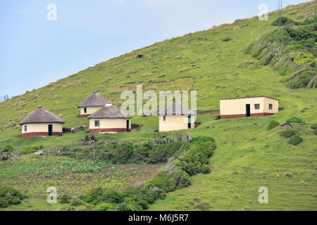 Xhosa round huts or houses or rondavels with thatched roofs ...