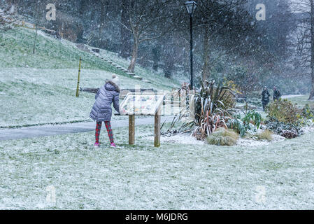 Heavy snowfall in Trenance Gardens in Newquay Cornwall Stock Photo - Alamy