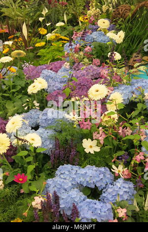 A colourful mixed herbaceous border featuring spires of foxglove ...