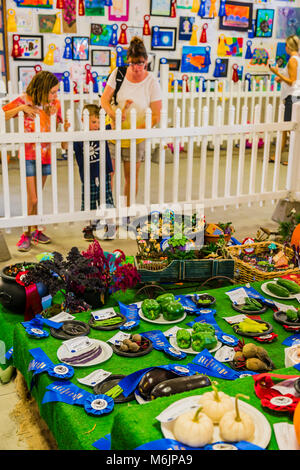 Durham Agricultural Fair Association Durham, Connecticut, USA Stock ...