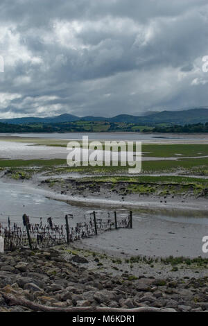 RSPB nature reserve Conwy North Wales Stock Photo - Alamy