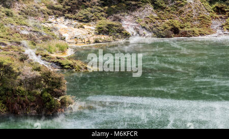 Waimangu Volcanic Valley, Rotorua, New Zealand. Reflected forest and ...