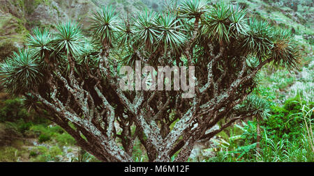 Cape Verde, Santo Antao, East Coast Stock Photo - Alamy
