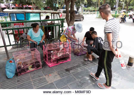 Makeshift shop selling animals, pets, dogs, puppies on a sidewalk of ...