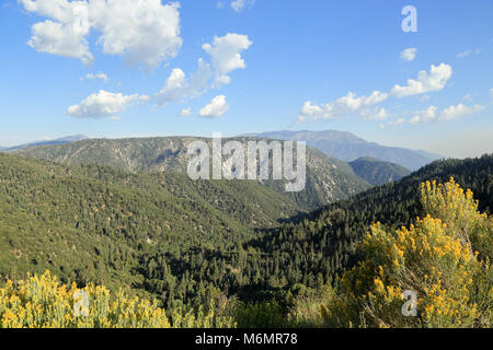 A view of San Bernarnino National Forest, Skyforest California Stock ...