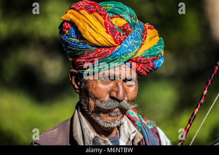 INDIA RAJASTHAN Mandore Garden. Musician playing a traditional ...