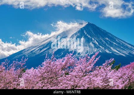 Fuji mountain and cherry blossoms in spring, Japan Stock Photo - Alamy