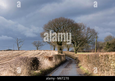 Kent countryside in winter, UK Stock Photo - Alamy