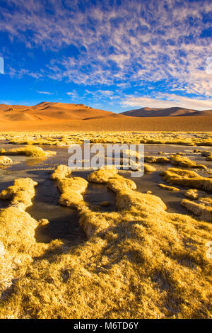 Chile. Atacama desert. Quepiaco lake and the Pili volcano Stock Photo ...