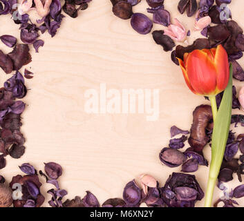 wooden background with small natural elements Stock Photo - Alamy