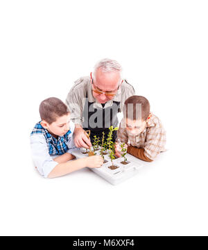 Man with bonsai Stock Photo - Alamy