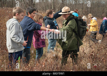 Lacey Spring Elementary School Stock Photo - Alamy