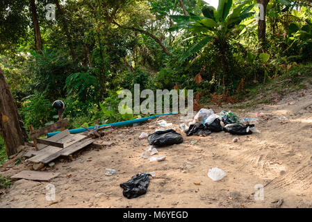 A forest conservation area littered with trash Stock Photo - Alamy