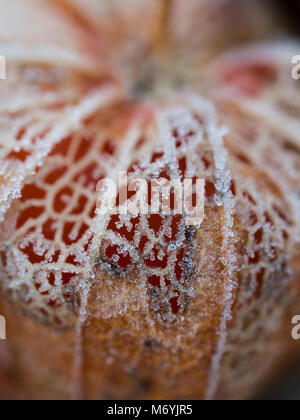 Lattice of ice crystals Stock Photo - Alamy