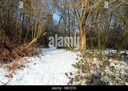 A view at the Mersham le Hatch Deer Park near Ashford Kent UK Stock ...