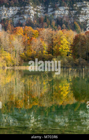 Lake landscape, shores of Lac d Ilay, Champagnole, Jura department ...