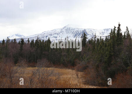 Bog behind LR Platform Stock Photo - Alamy