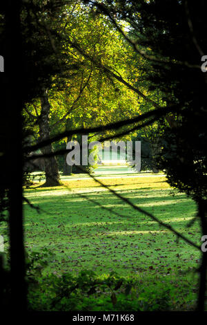 The Golf Course at Himley Hall, Dudley, West Midlands, UK Stock Photo ...