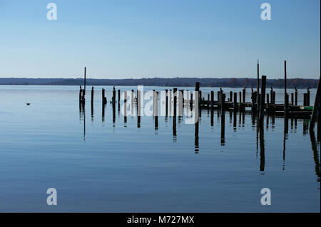 Weathered dock post in coastal waters Stock Photo - Alamy