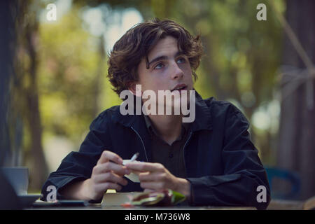 LADY BIRD, Timothee Chalamet, 2017. ©A24/courtesy Everett Collection ...