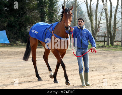 Elegant Escape during a stable visit to Colin Tizzard's stable at ...