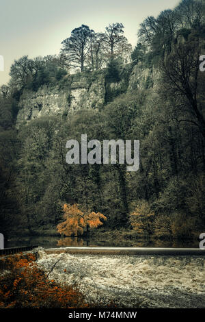 The Cascade waterfall and River Derwent with autumn colour in trees at ...