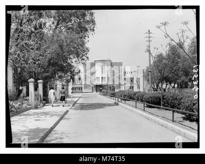 An image showcasing Haifa, a major city in Israel, known for its ...