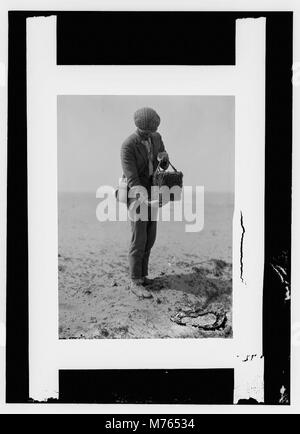 An image depicting the locust plague in Palestine between March and ...