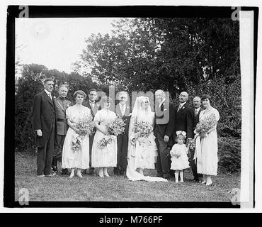 A photograph taken on August 22, 2014, of the species *Sphecodes ...