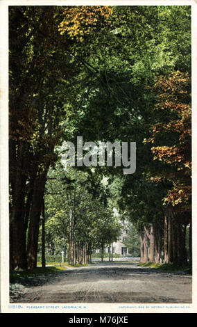 Photograph of Pleasant Street showing residential homes, street layout ...