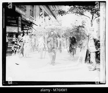 This image shows Warren G. Harding, the 29th president of the United ...