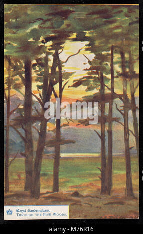 A scenic photograph of Royal Sandringham, showcasing the natural beauty ...
