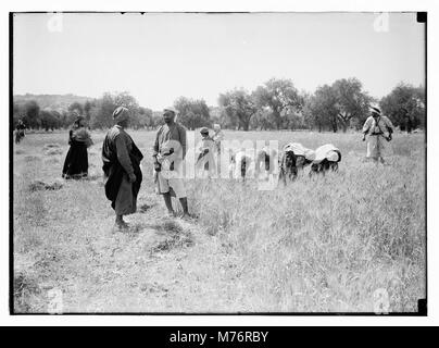 A depiction from the Ruth series, illustrating the biblical story of ...