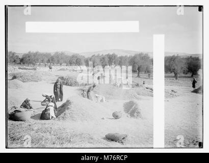 Old tools in threshing floor Stock Photo - Alamy