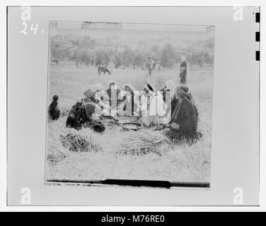 The Story of Ruth, a biblical narrative, is depicted in this visual ...