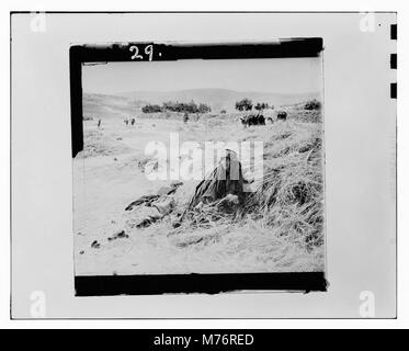 A historical image depicting Ruth the Moabitess, a key figure from the ...