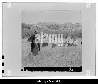 A depiction of Ruth the Moabitess, a key biblical figure from the Book ...