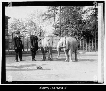A formal portrait of Senator Reed Smoot, a prominent American ...