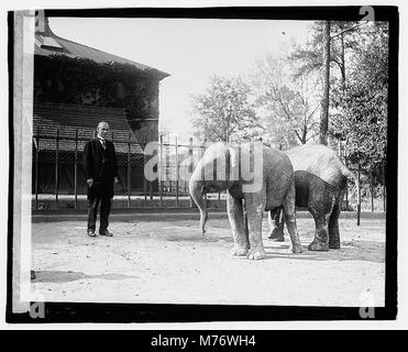 A formal portrait of Senator Reed Smoot, a prominent American ...