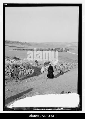 An image of the Shepherds' Fields, located east of Bethlehem ...